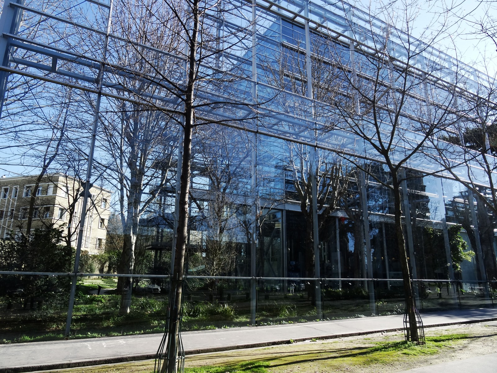 Photo : La Fondation Cartier pour l'art contemporain. Photo : La Fondation Cartier pour l'art contemporain.