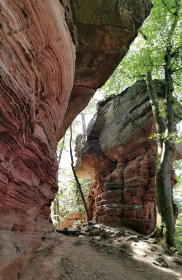 A faire : Le Colorado Alsacien - Randonnée