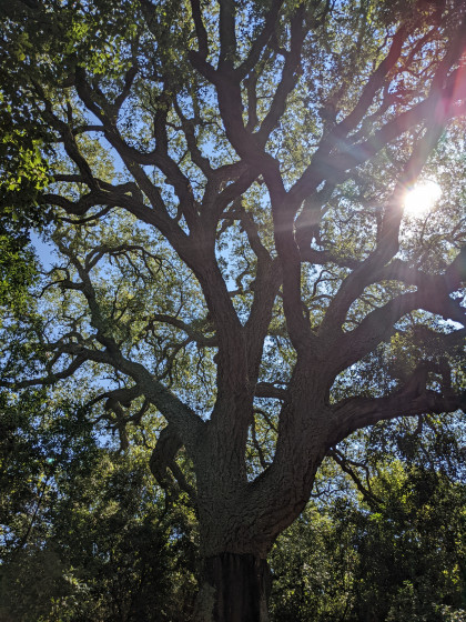 A faire : Romanya de la Selva - Randonnée