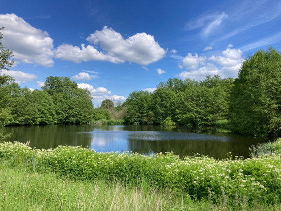 Abinger Hammer - Walk
