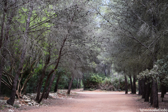 A faire : Les Aresquiers - Randonnée