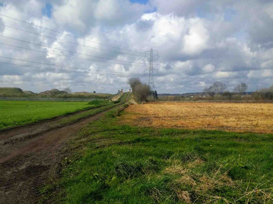 Bickerstaffe Circular - Walk