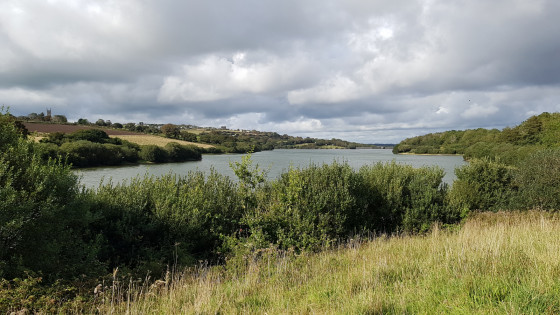 Argal Reservoir - Walk