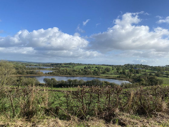 Arney Battlefield Trail - Walk