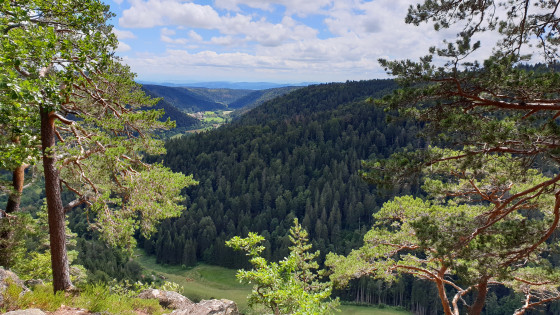 Albsteig (E2) von Göhrwihl nach Häusern - Wanderung