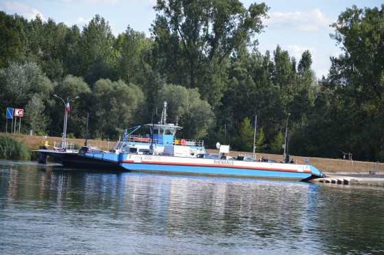 A faire : Sentier des sources à Rhinau - Randonnée