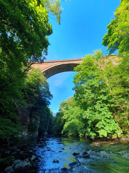 Ballochmyle Viaduct from Catrine - Walk