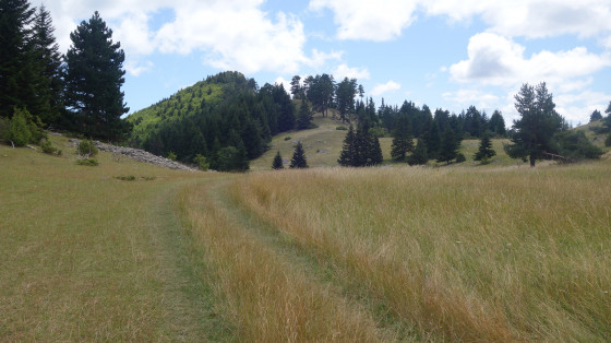 A faire : Sommet de Banne en boucle depuis le Col de Cabre - Randonnée