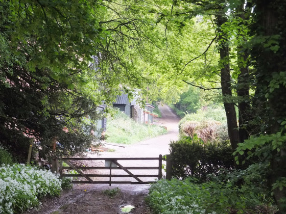 Angles Way - Earsham to Beccles - Walk