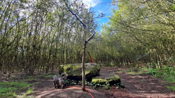 Tour um Emskirchen - Wanderung