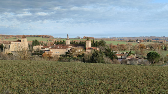 The grand tour of Bazian - Walk
