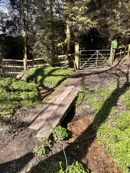 Lickey & Waseley Hills - Walk