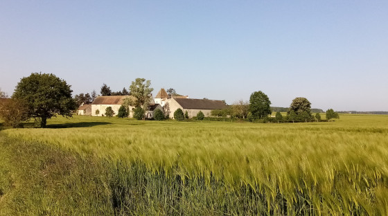 A faire : De Saint-Chéron à Dourdan par les coteaux de la rive gauche ...