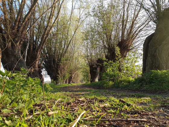 A faire : Waterloo - Braine-l'Alleud entre villes et campagne ...