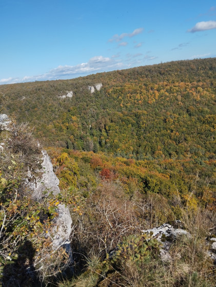 A faire : Autour d'Ancey : Combe Piron et Belvédère de la Roche Aigüe ...