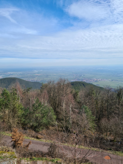 Kalmit und Felsenmeer - Wanderung