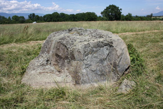 A faire : Les richesses du paysage et les récoltes autour de Chênex ...