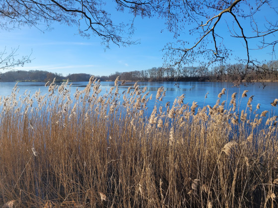 Von Zarrentin zum Boissower See - Wanderung