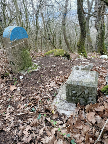 A faire : Le Château de Rochefort en Valdaine et Borne IGN - Randonnée