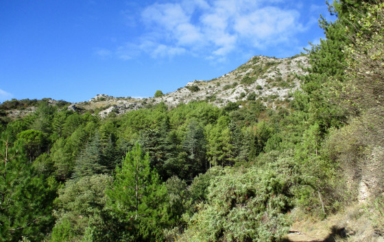 A faire : Circuit de Trassanel - Randonnée