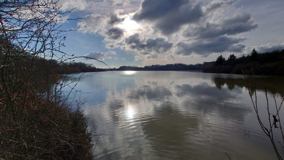Ardingly Reservoir, West Sussex - Walk