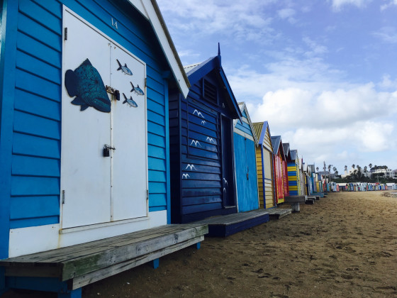 From Brighton Beach to the famous Middle Brighton Bathing Boxes - Walk