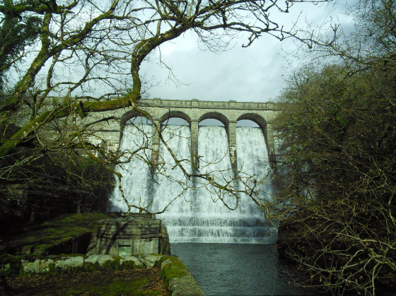 Burrator Reservoir - Walk