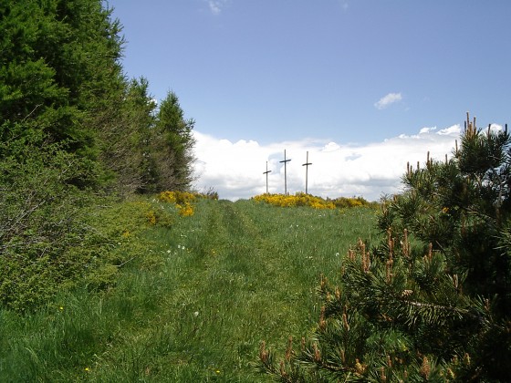 The Mercou Woods - Walk