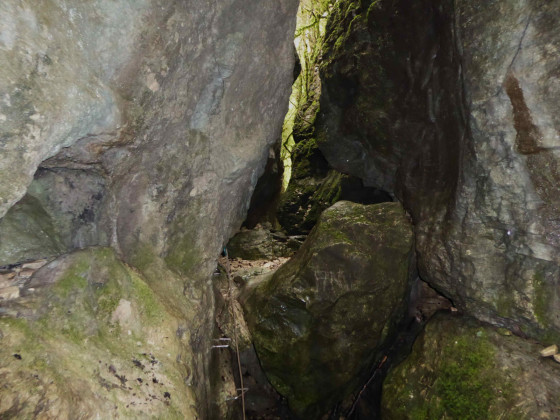 A faire : Canyon des Gueulards, via les Sept Lacets - Randonnée