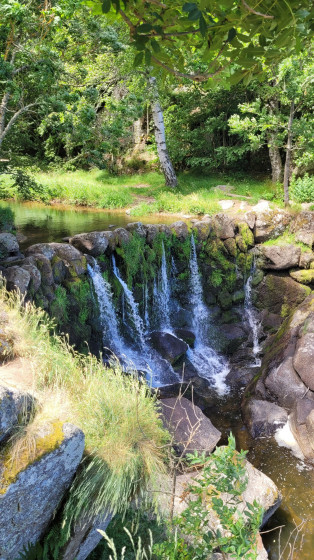 A faire : Lac de Langogne et Cascade du Donozau - Randonnée