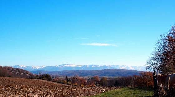 Tour of the Bois de Gourand in Champier - Walk