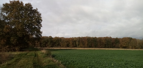 A faire : Boucle entre Saint-Chéron et Sermaise - Randonnée