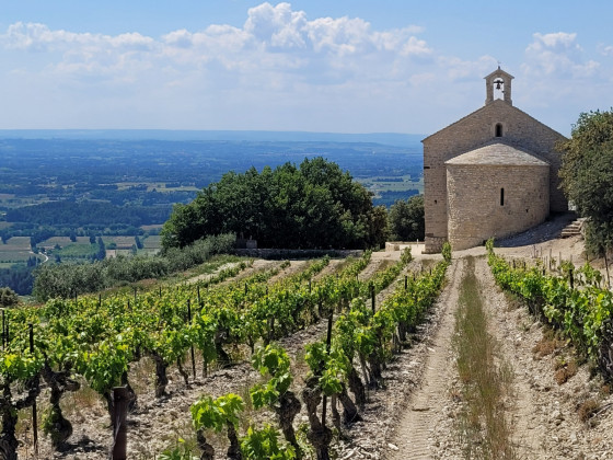 A faire : Sur les traces du passé à Beaumes-de-Venise - Randonnée