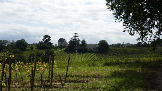 Fronsac, its châteaux and viewpoints - Walk