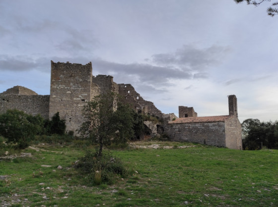 A faire : Du château de Montlaur au Ruisseau du Braou - Randonnée
