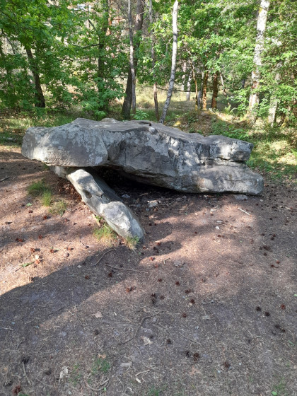 Von Rambouillet nach Saint-Léger-en-Yvelines auf dem GR®1 - Wanderung