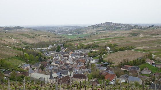 A faire : Au cœur du vignoble sancerrois - Chavignol et ses environs ...