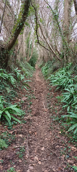 A faire : Chemins creux et villages à Plouha - Randonnée