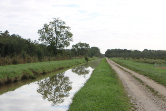 A faire : Promenade du Chenal du Milieu au Château Gruaud-Larose ...