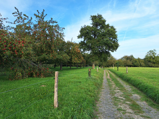 A faire : Autour de la vallée du Bosq depuis Anctoville-sur-Boscq ...
