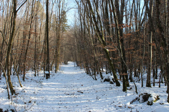 Exploring the bocage of Fontenoy-le-Château - Walk
