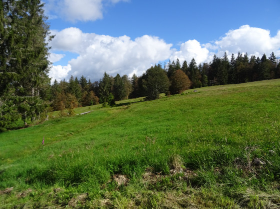From the Chalet de Rouge Mousse to the Cabane des Champis - Walk
