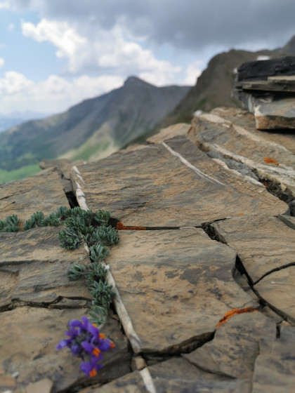 A faire : Sentier horizontal du Riou Bourdoux - Randonnée