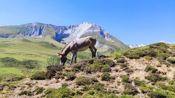 Lac de Soum vom Col du Soulor aus - Wanderung
