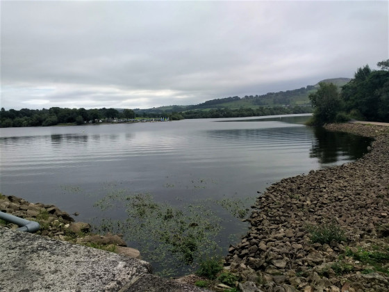 Comb Reservoir Circular - Walk