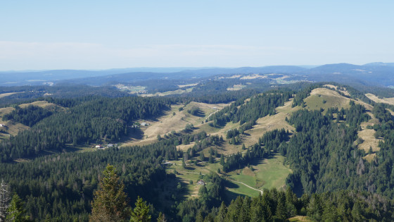 A faire : Borne au Lion - Crêt de Chalam - Randonnée