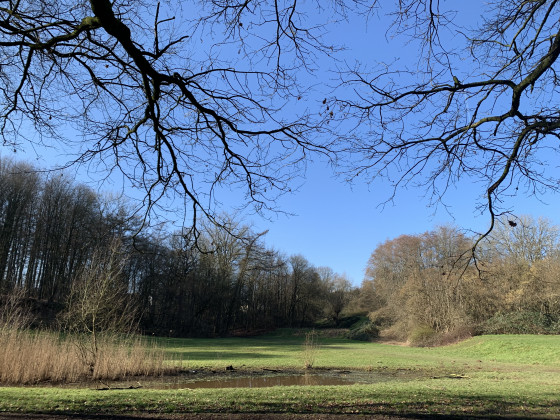 A faire : Dans la verdure de Linkebeek - Randonnée