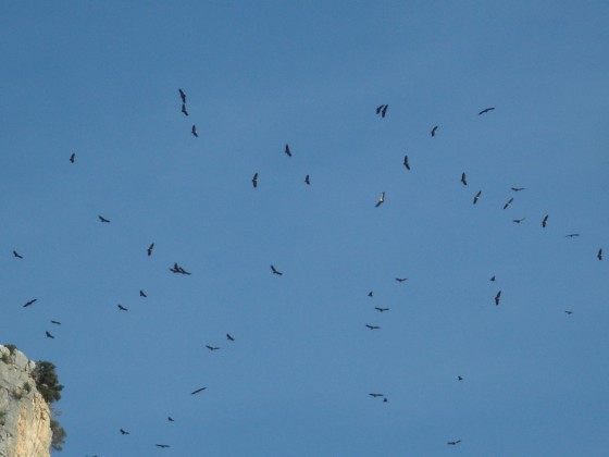 A faire : Tour de la montagne de Buègue - Randonnée