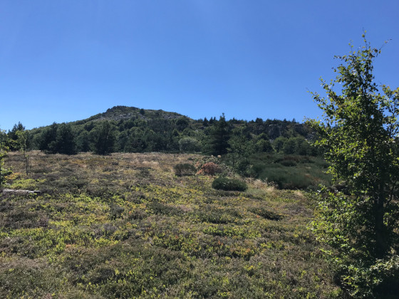 A faire : Découverte de Sagnes-et-Goudoulet et retour par les Coux ...