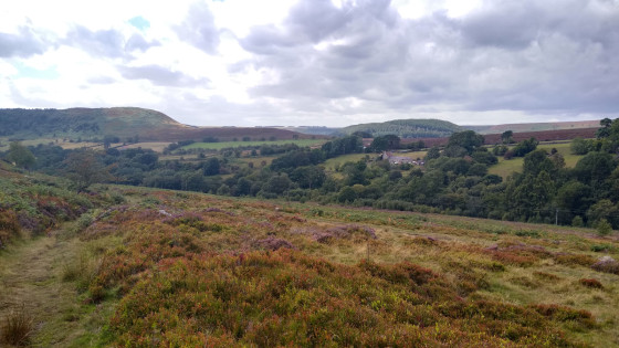 Hawnby Moor and Hill - Walk